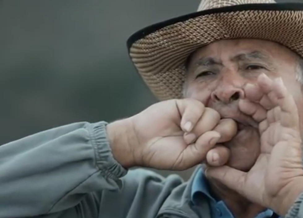 Las diferentes lenguas y el silbo gomero - Silbo Gomero